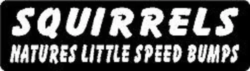 DOPASTICKER Squirrels Natures Little Speed Bumps Sticker Hard Hat ...