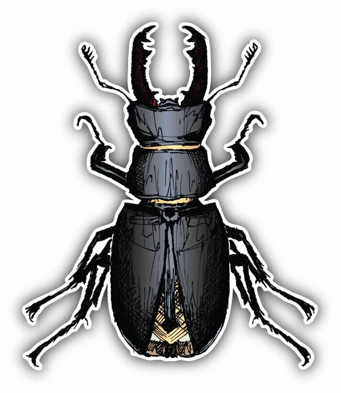 DOPASTICKER Stag Beetle Sketch Sticker Decal Phone Decal Water Bottle ...