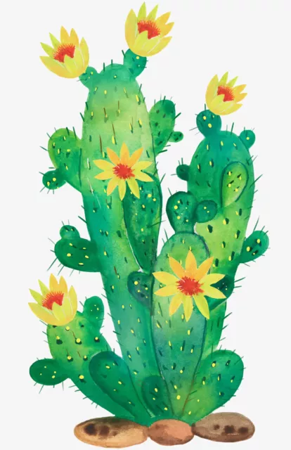 DOPASTICKER Sticker Colorful Green Cactus Plant Rocks Hot Dry Prickly ...
