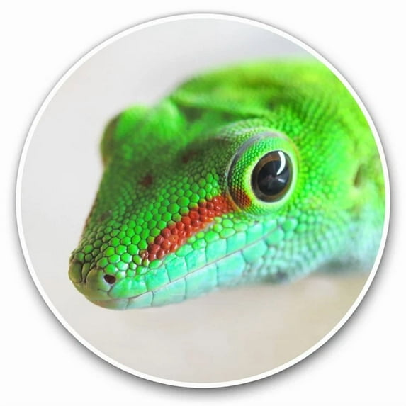DOPASTICKER Stickers -Bright Green Lizard Gecko Wild Cool Gift ...