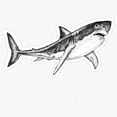 DOPASTICKER Stippled Great White Shark Sticker, Phone Sticker Car ...