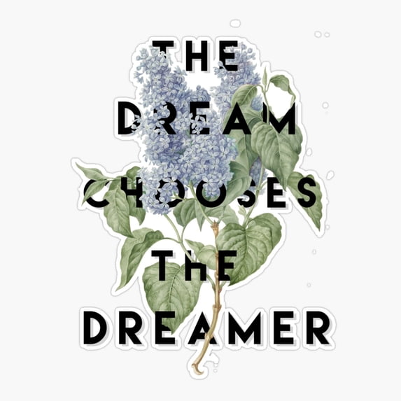 DOPASTICKER Strange The Dreamer Sticker, Phone Sticker Water Bottle ...