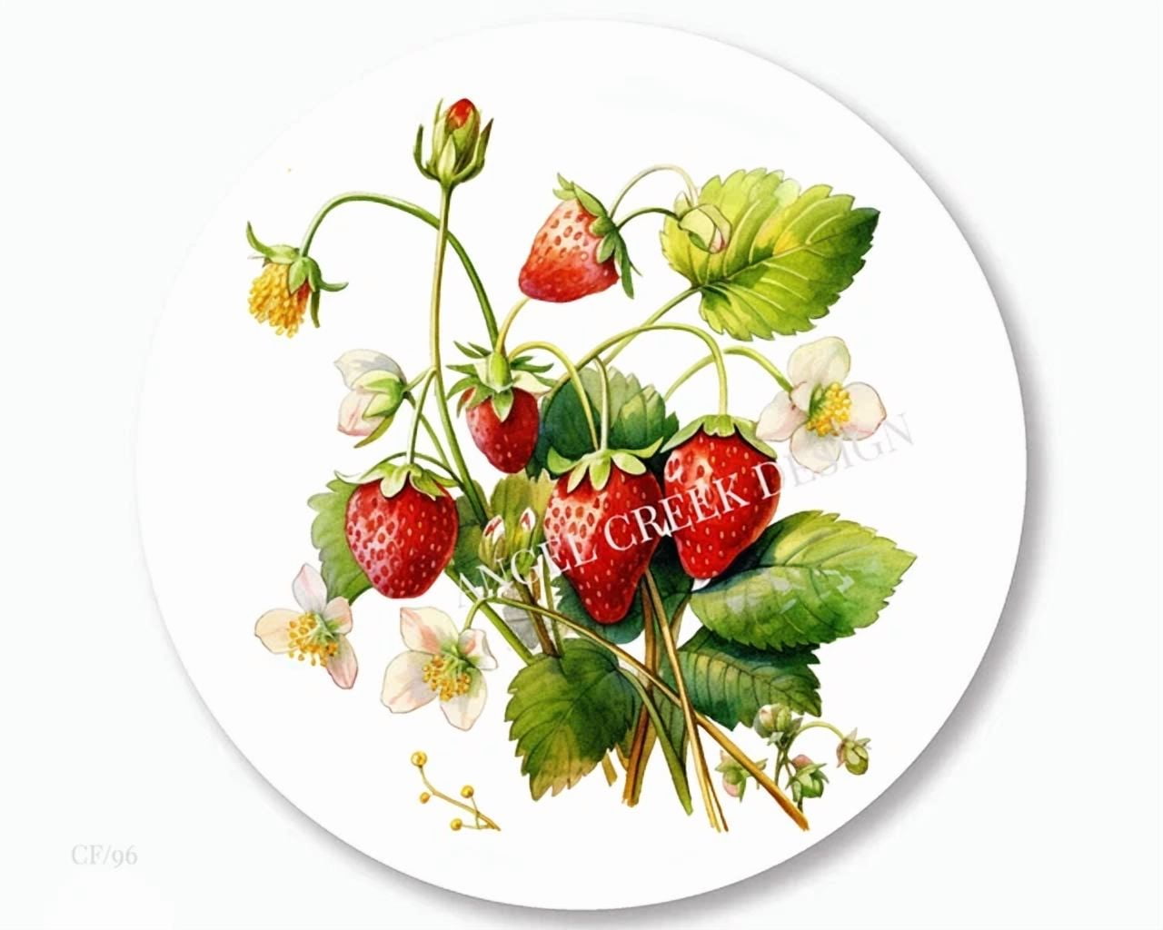 DOPASTICKER Strawberries Plant Scrapbook Stickers Strawberry Phone ...