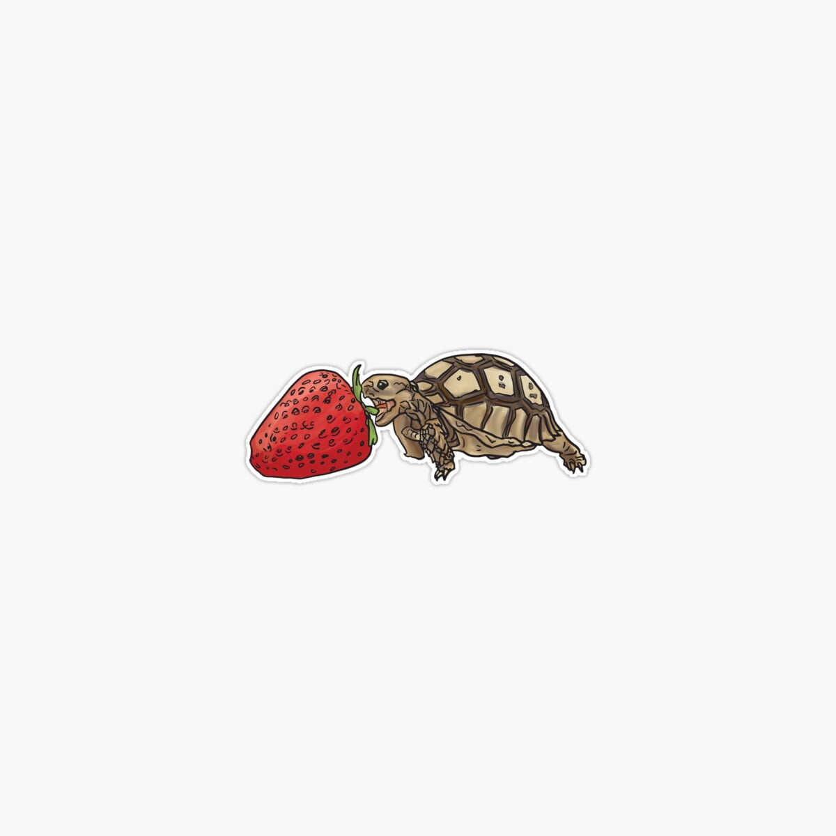 DOPASTICKER Sulcata Tortoise Vs Strawberry Sticker, Phone Sticker Car ...