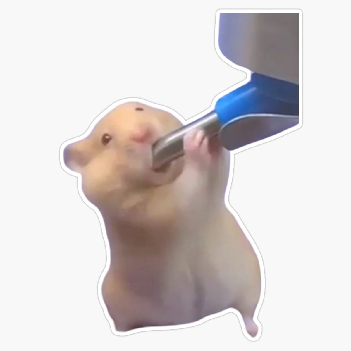 DOPASTICKER Suspicious Hamster Water Sticker, Phone Sticker Car Sticker ...
