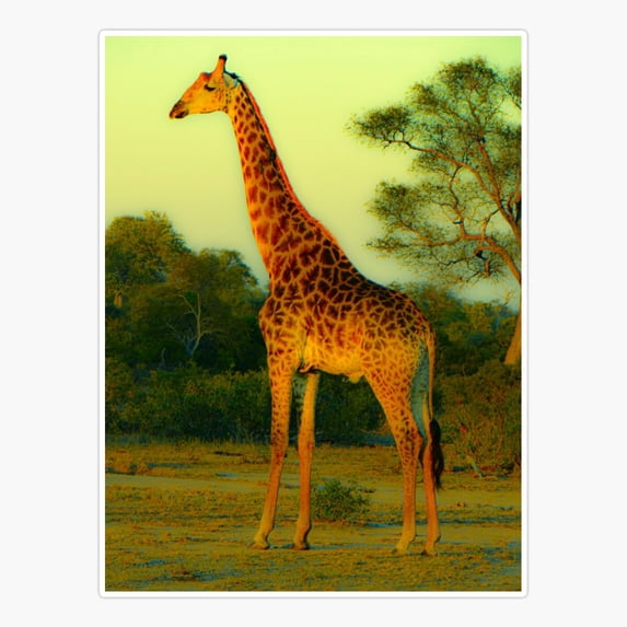 DOPASTICKER Tallest Terrestrial Sticker, Phone Sticker Water Bottle ...