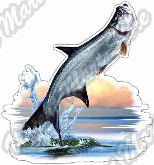 DOPASTICKER Tarpon Leap Fishing Fish Fisherman Car Sticker Decal Phone ...