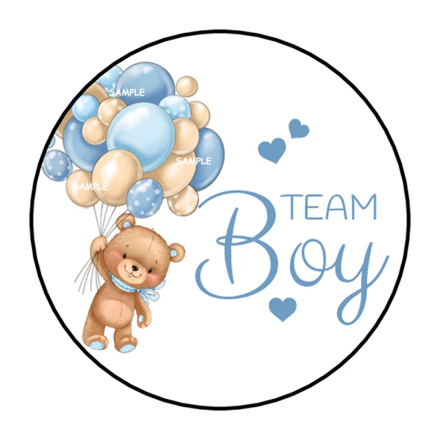 DOPASTICKER Team Boy Team Girl Gender Reveal Party Stickers Pink Blue ...