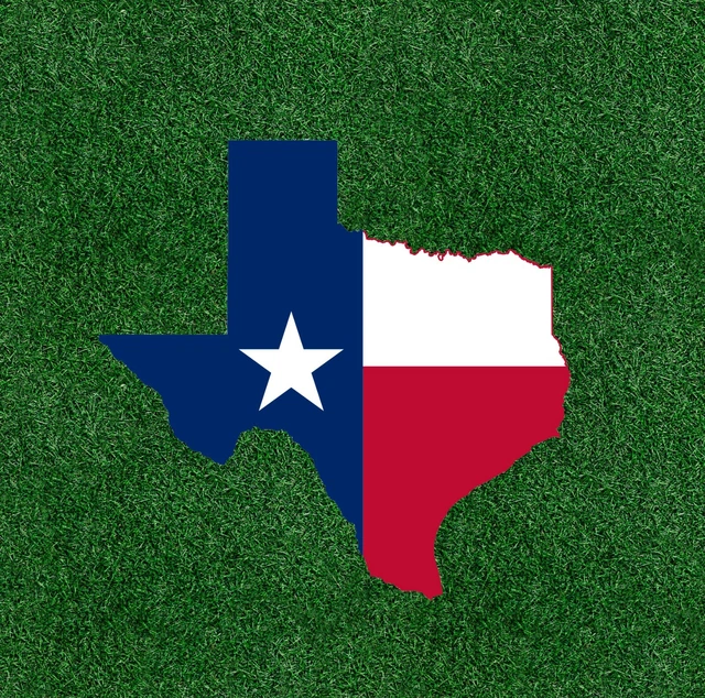 DOPASTICKER Texas State Flag Sticker Decal Phone Decal Water Bottle ...