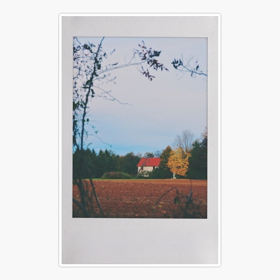 DOPASTICKER The Nightmare Before Noel Dog Zero Sticker, Phone Sticker ...