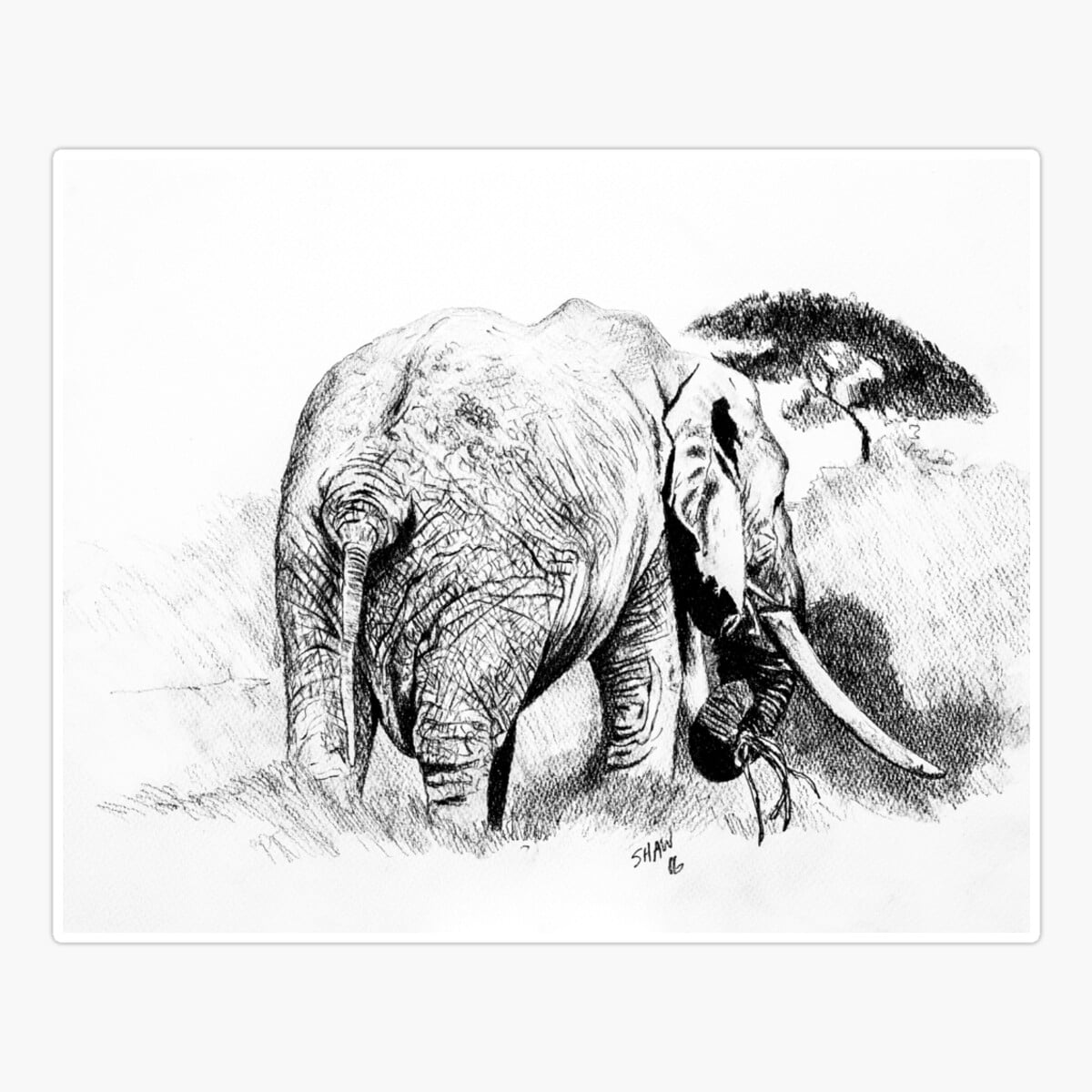 DOPASTICKER The Old Man Elephant Sticker, Phone Sticker Water Bottle ...