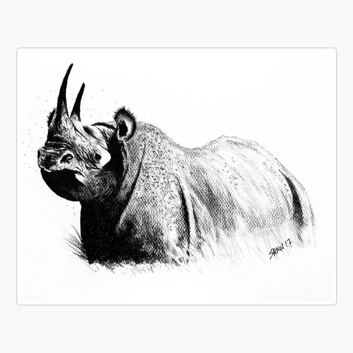 DOPASTICKER The Rhino Sticker, Phone Sticker Water Bottle Sticker Car ...