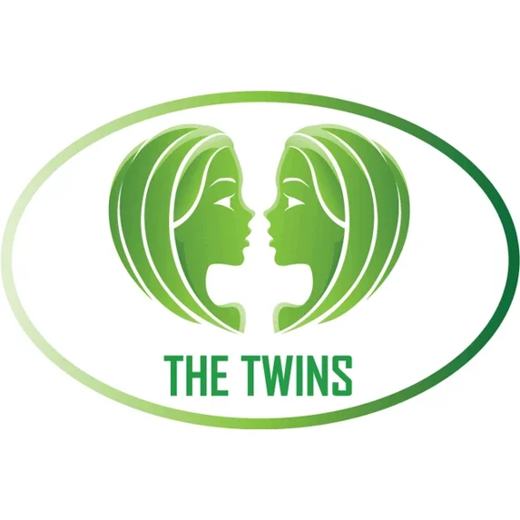 DOPASTICKER The Twins Car Sticker Decal Phone Decal Water Bottle ...