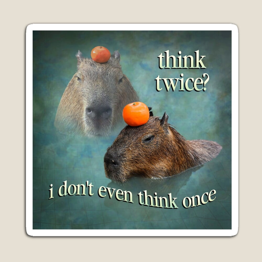 DOPASTICKER Think Twice? I Don'T Even Think Once Capybara Word Art ...