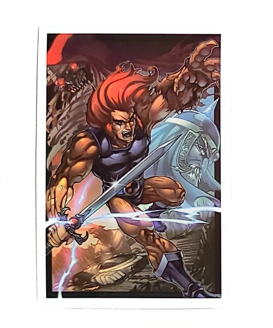 DOPASTICKER Thundercats Lion-O Tygra Cheetara Panthro Mumm-Ra Sticker ...