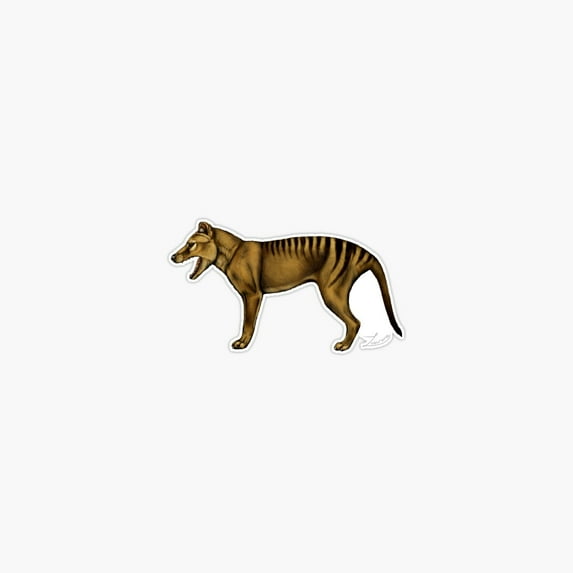DOPASTICKER Thylacine Sticker, Phone Sticker Water Bottle Sticker Car ...