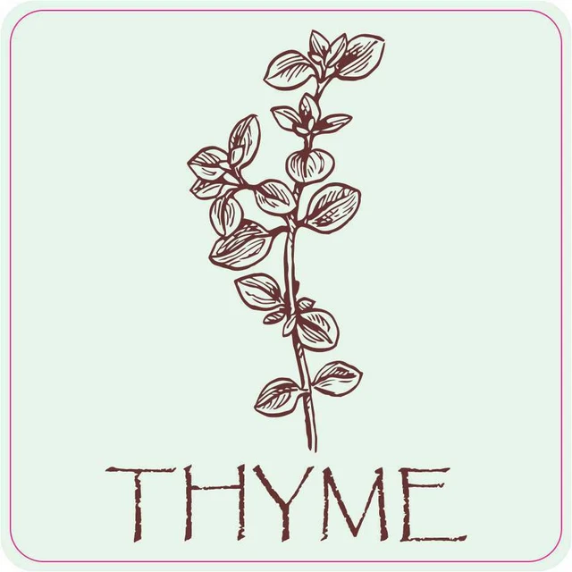 DOPASTICKER Thyme Sticker Phone Sticker, Latop Sticker, Lover Gift ...