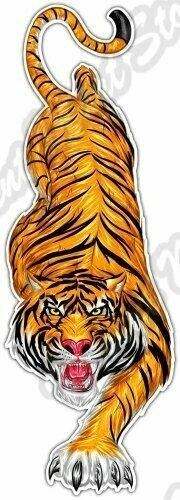 DOPASTICKER Tiger Roaming Around Animal Wildlife Car Window Sticker ...