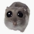 DOPASTICKER Tik Tok Sad Hamster Sticker, Phone Sticker Water Bottle ...