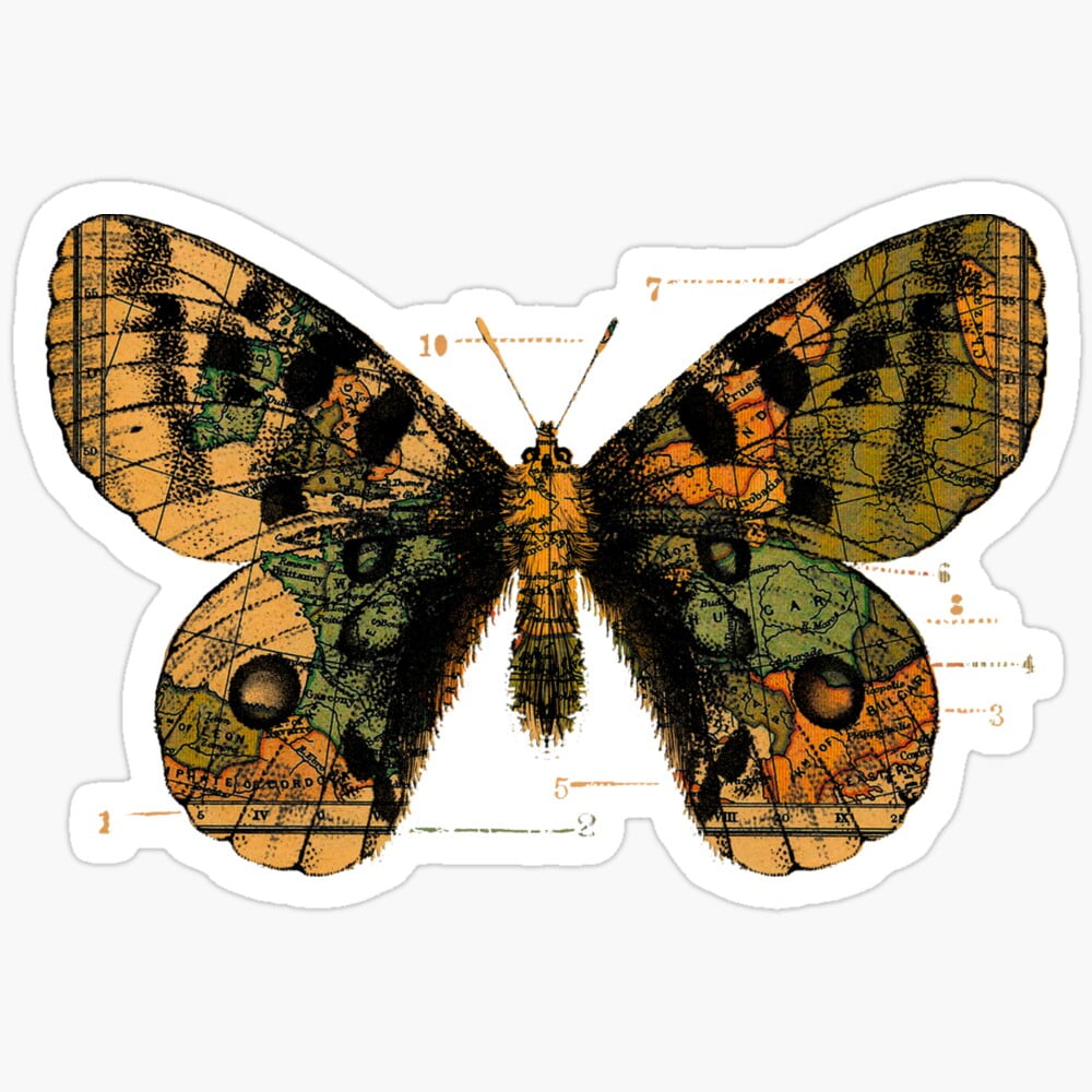 DOPASTICKER Time Flies Perfect Gift Everyone Phone Decal Water Bottle ...