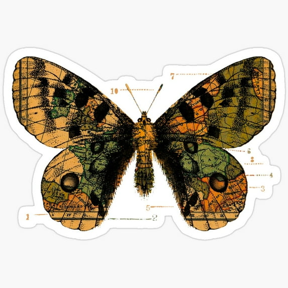 DOPASTICKER Time Flies Perfect Gift Everyone Phone Decal Water Bottle ...