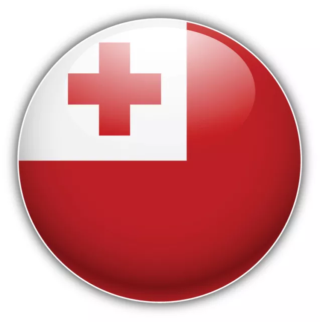 DOPASTICKER Tonga Glossy Flag Label Sticker Decal Phone Decal Water ...