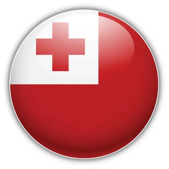 DOPASTICKER Tonga Glossy Flag Label Sticker Decal Phone Decal Water ...