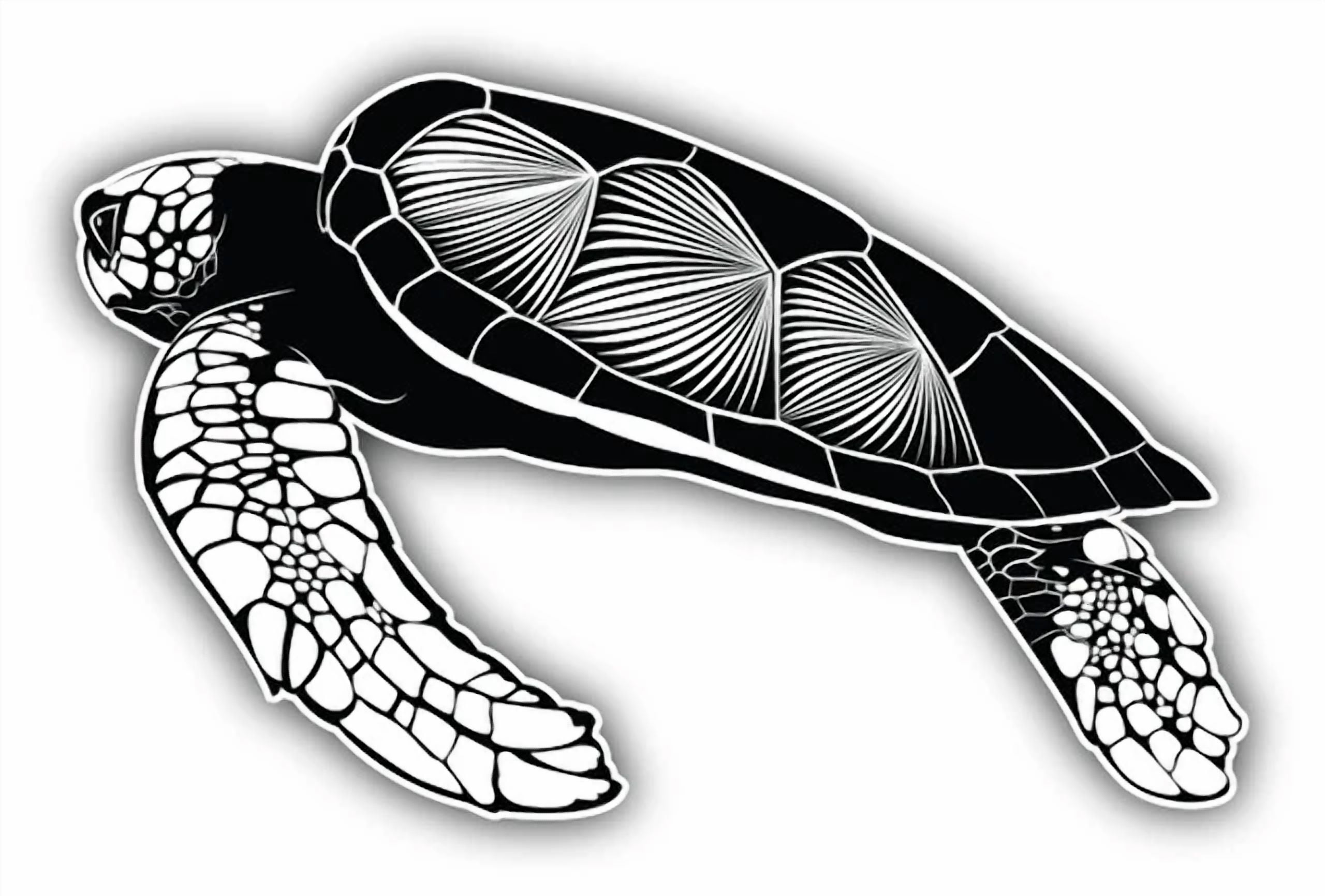 DOPASTICKER Tortoise Art Decor Sticker Decal Phone Decal Water Bottle ...