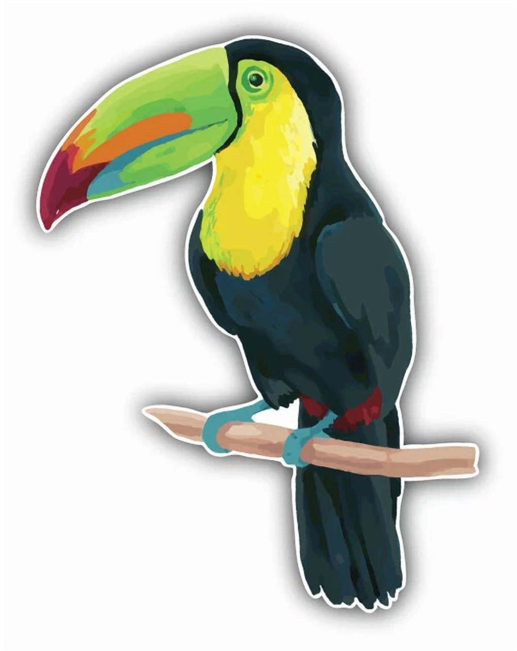 DOPASTICKER Toucan Watercolor Car Sticker Phone Water Bottle Stickers ...