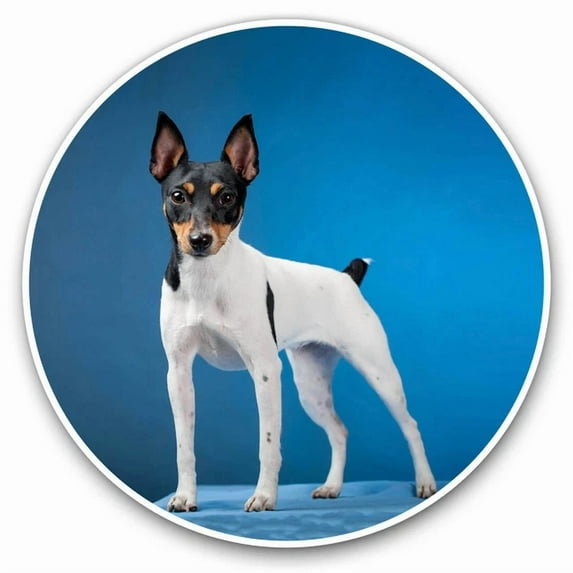 DOPASTICKER Toy Fox Terrier Dog Puppy Fun Cool Gift Decorative Laptop ...