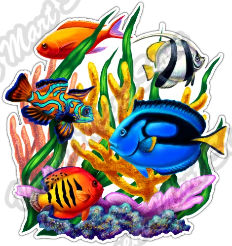 DOPASTICKER Tropical Fish Sea Life Ocean Vacation Coral Car Sticker ...