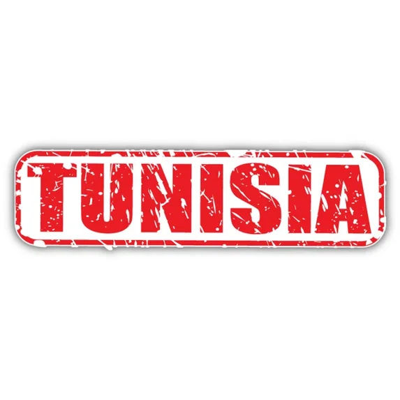 DOPASTICKER Tunisia Grunge Sticker Decal Phone Decal Water Bottle ...