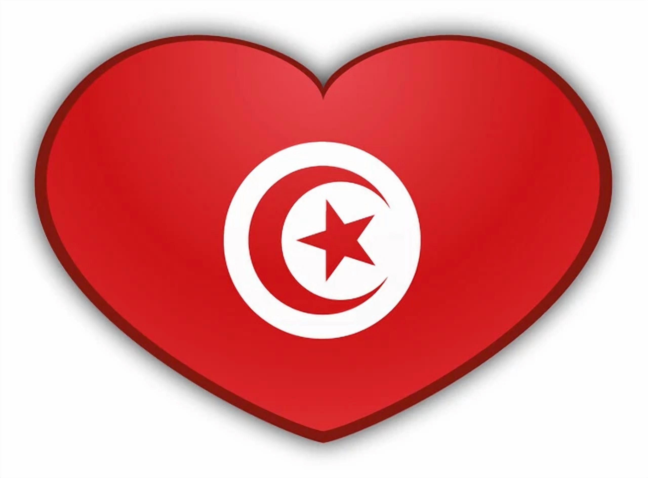 DOPASTICKER Tunisia Heart Flag Sticker Decal Phone Decal Water Bottle ...