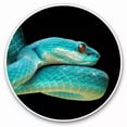 DOPASTICKER Turquoise Blue Viper Snake Tropical Cool Gift, Phone ...