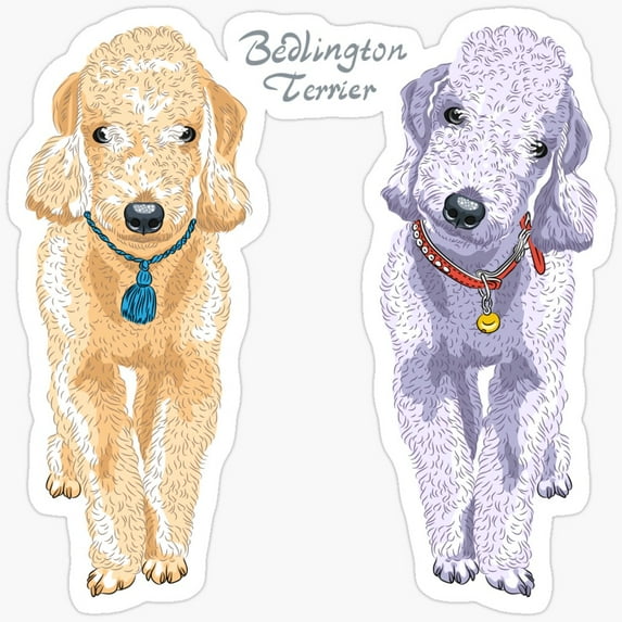 DOPASTICKER Two Dogs Bedlington - Perfect Birthday Gift Everyone Phone ...