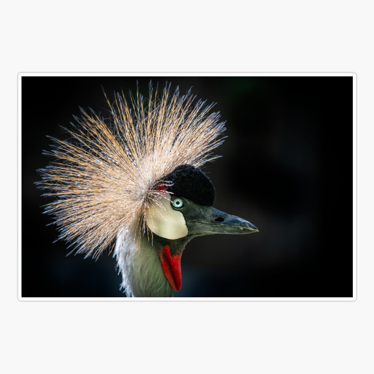 DOPASTICKER Under Dog Sticker, Phone Sticker Car Stickers, Birthday ...