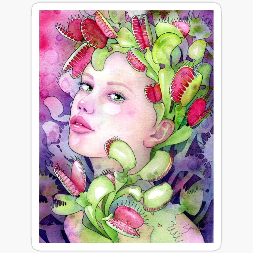 DOPASTICKER Under The Gaze Of Venus Sticker Phone Decal Water Bottle ...