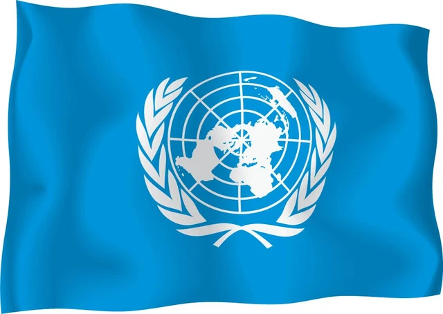 DOPASTICKER United Nations Flag Sticker Phone Decal Water Bottle ...