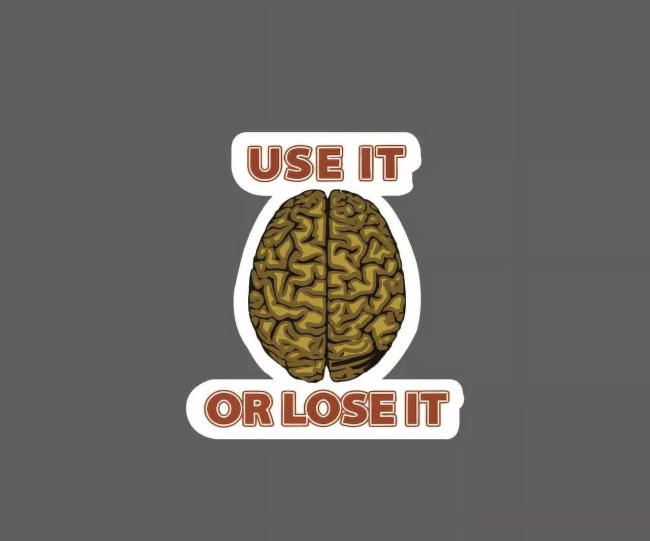 DOPASTICKER Use It Or Lose It Sticker Brain Quote School Knowledge ...