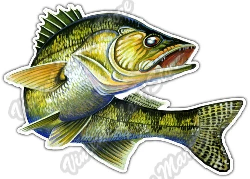 DOPASTICKER Walleye Fish Fishing Fresh Water Wild Life Car Sticker ...