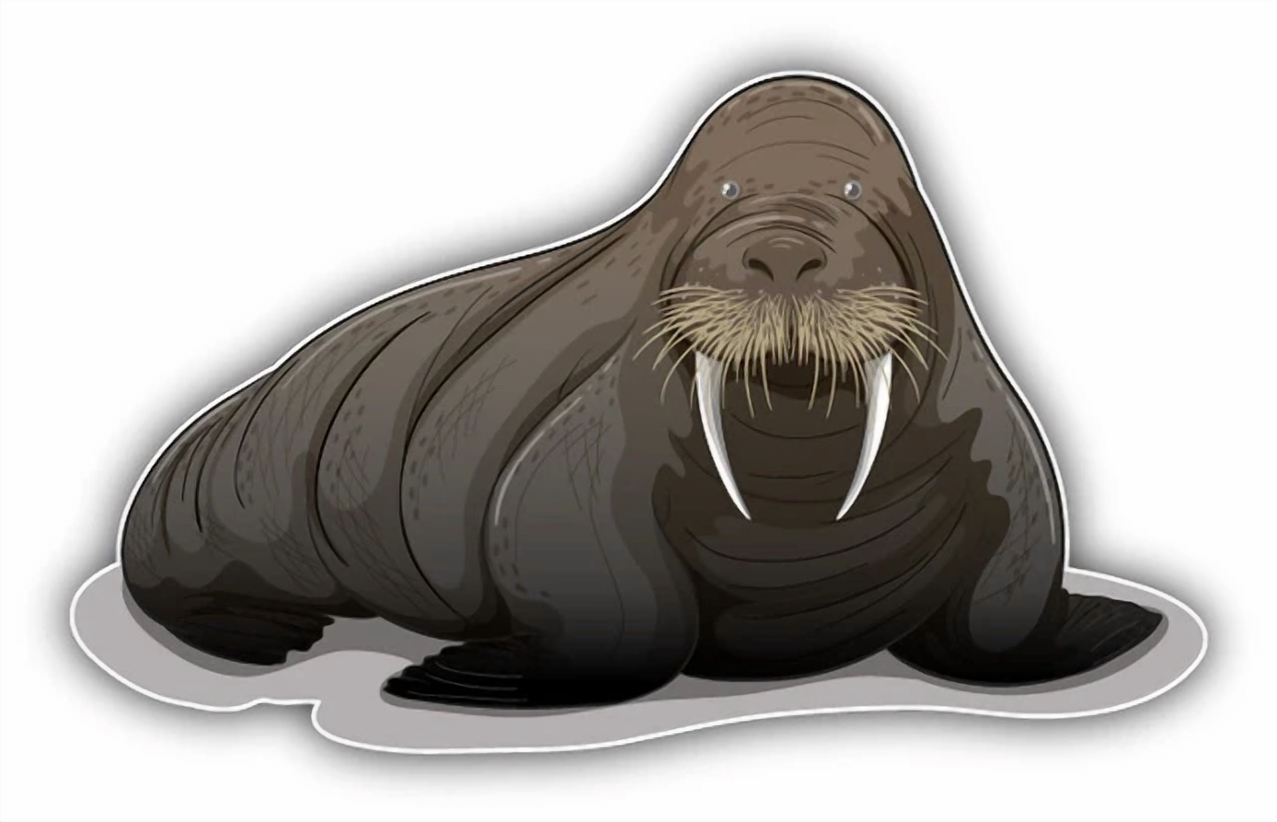 DOPASTICKER Walrus Cartoon Sticker Decal Phone Decal Water Bottle ...