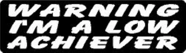 DOPASTICKER Warning I'M A Low Achiever Sticker Phone Decal Water Bottle ...