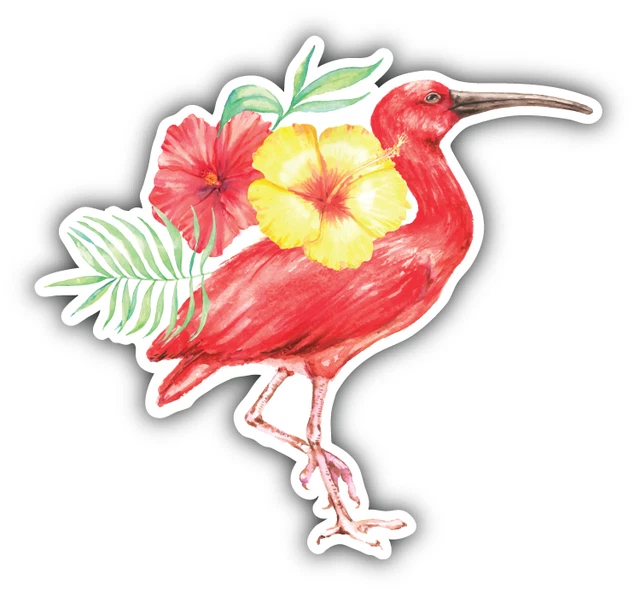 DOPASTICKER Watercolor Ibis Sticker Decal Phone Decal Water Bottle ...