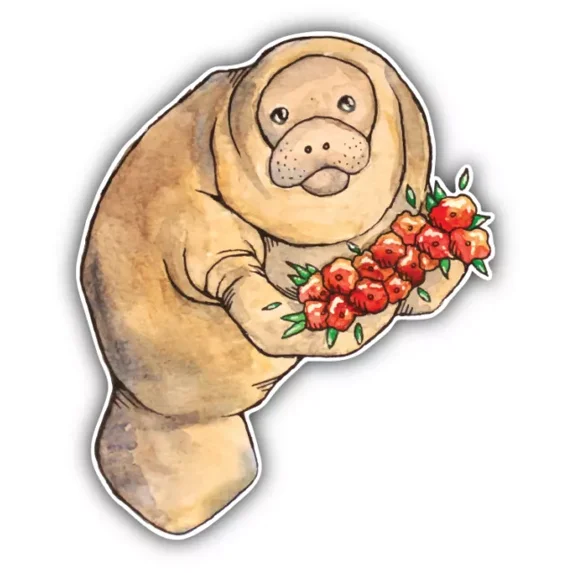 DOPASTICKER Watercolor Manatee Sticker Decal Phone Decal Water Bottle ...