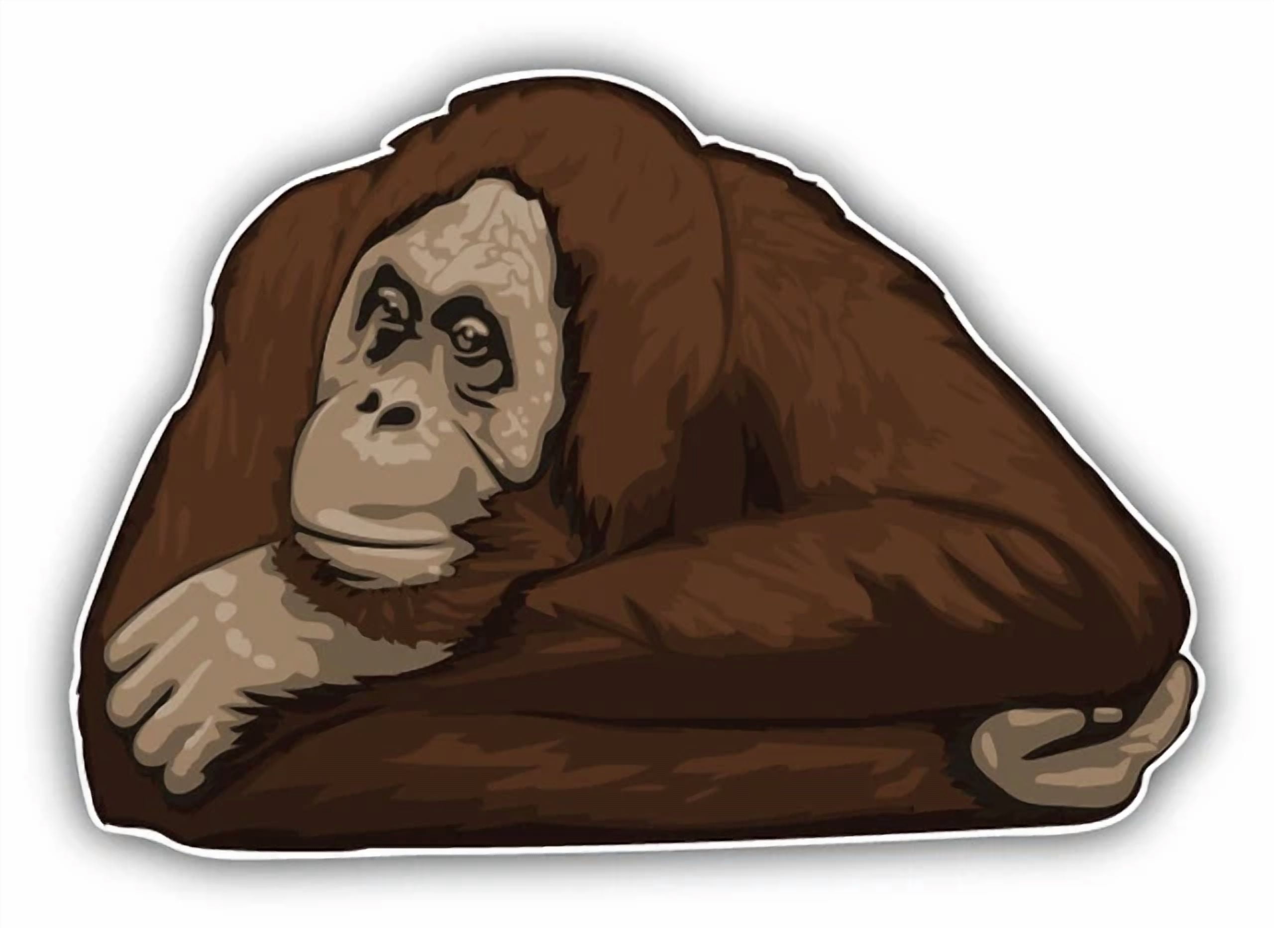 DOPASTICKER Watercolor Orangutan Sticker Decal Phone Decal Water Bottle ...