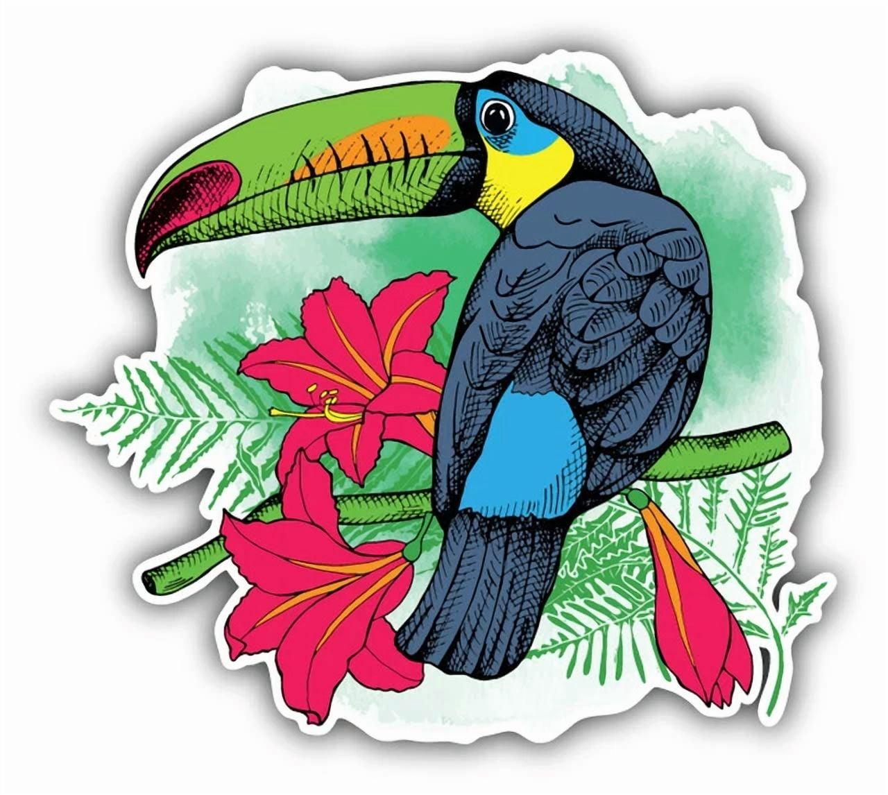 DOPASTICKER Watercolor Toucan Bird Animal Sticker Decal Phone Decal ...