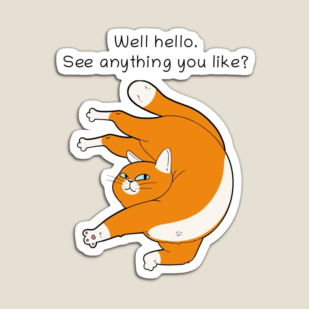 DOPASTICKER Well Hello. See Anything You Like? Decorative Laptop, Phone ...
