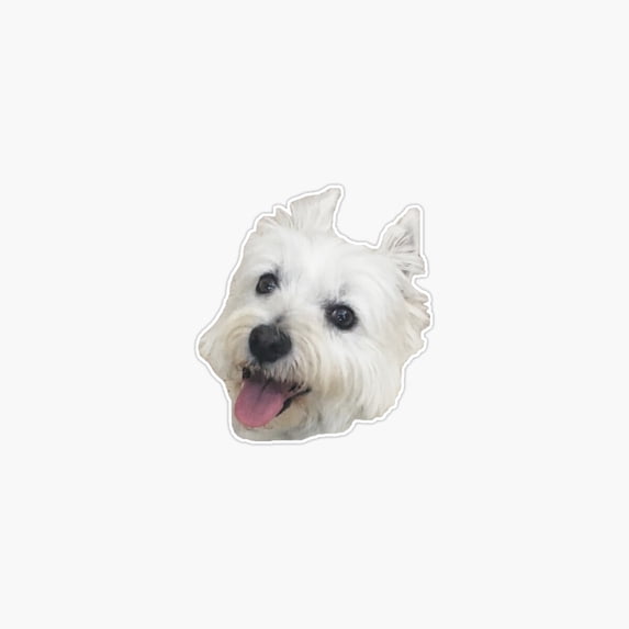 DOPASTICKER Westie Head, Lily The Westie Sticker, Phone Sticker Car ...