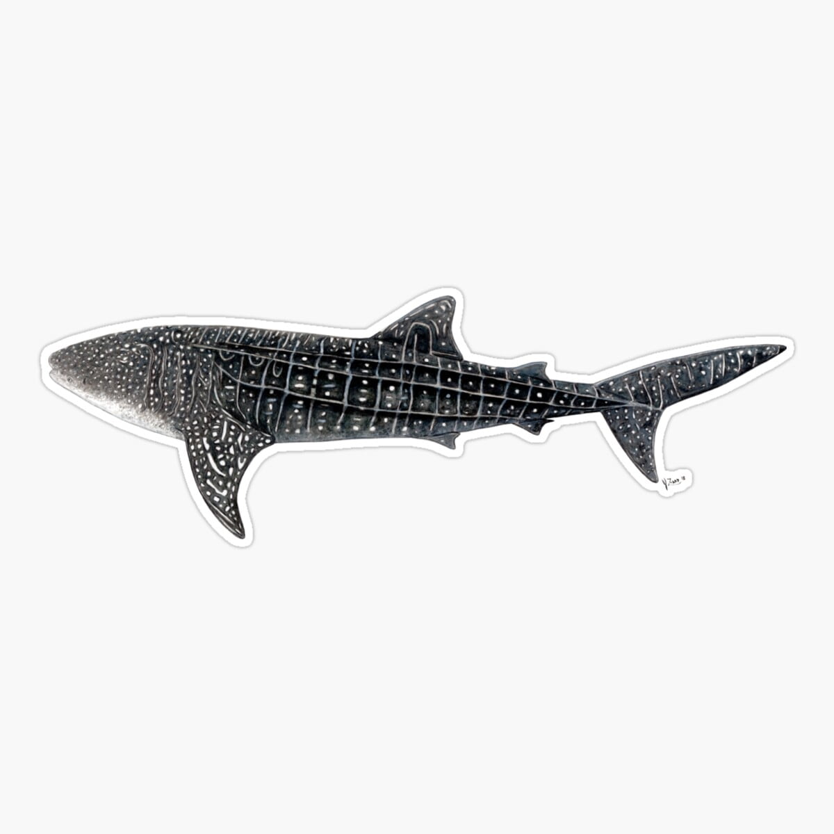 DOPASTICKER Whale Shark The Largest Fish On Earth Sticker, Phone ...
