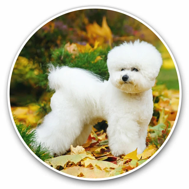 DOPASTICKER White Bichon Frise Puppy Dog Cool Gift Decorative Laptop ...